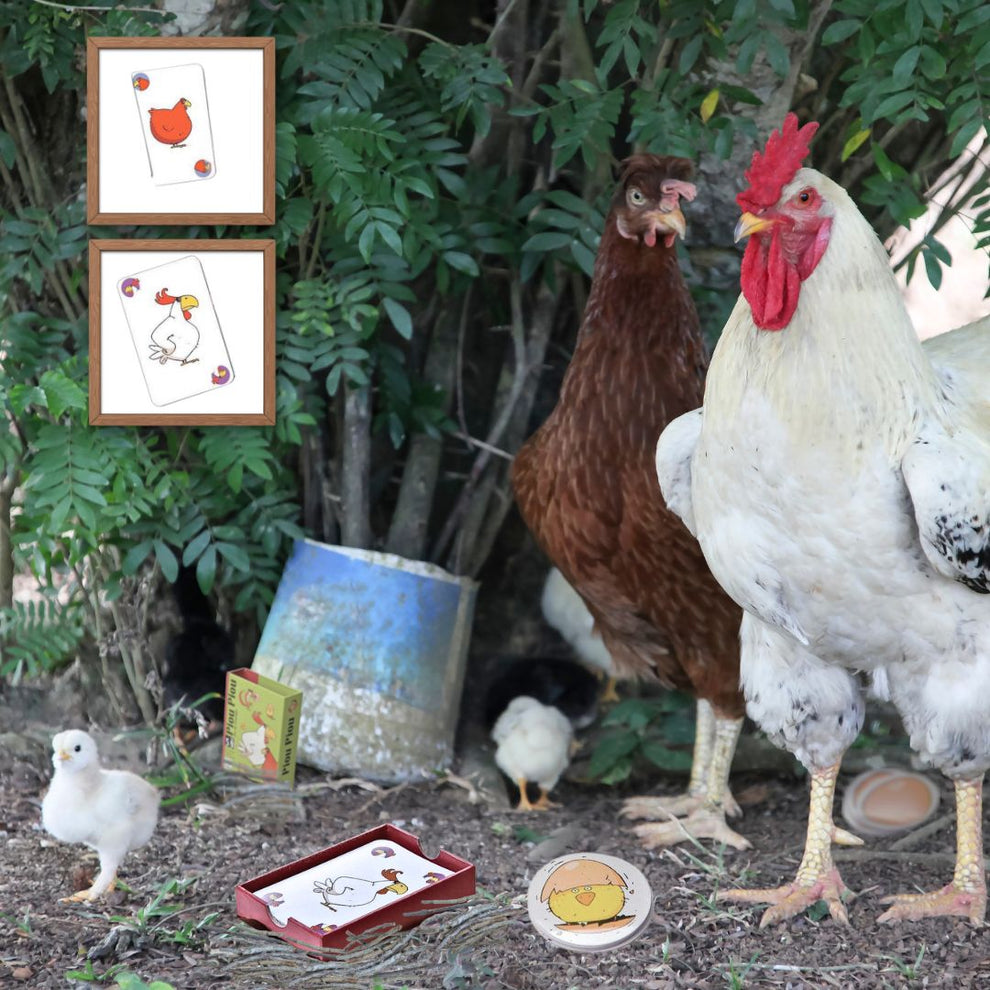 Piou Piou - Juego de mesa - Djeco - Desde 5 años – Mi Juego Bonito